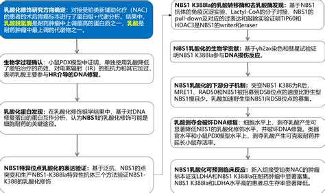 乳酸化助力肿瘤研究！nature Pnas等顶刊新宠 乳酸化修饰在肿瘤进展、免疫治疗作用机制等研究思路解析