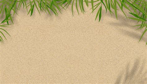 모래 질감 배경에 그림자가있는 야자수 잎의 상단보기 벡터 일러스트 레이 션 플랫 누워 코코넛 가지가있는 최소 열대 잎은 휴일 여름 배경을위한 복사 공간이있는 갈색에 나뭇잎을