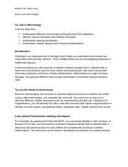 Week Lab Microscopy Pt Docx BIOS OL Week Lab Name Samantha Maggio OL Lab