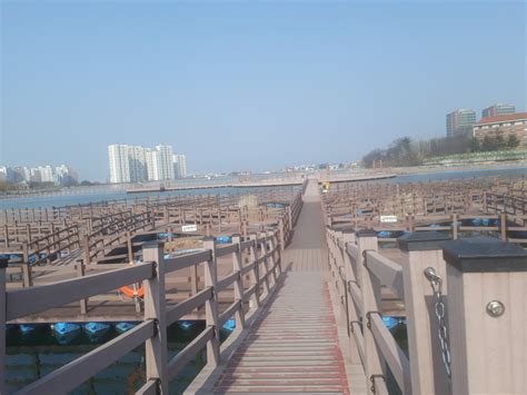미세먼지