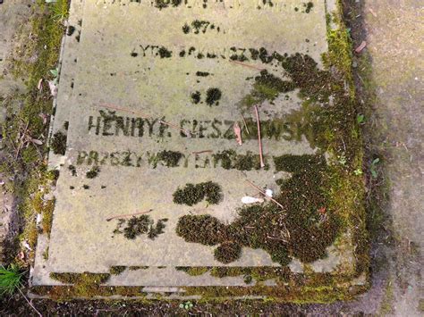 The Grave Of Henryk Cieszkowski Warsaw