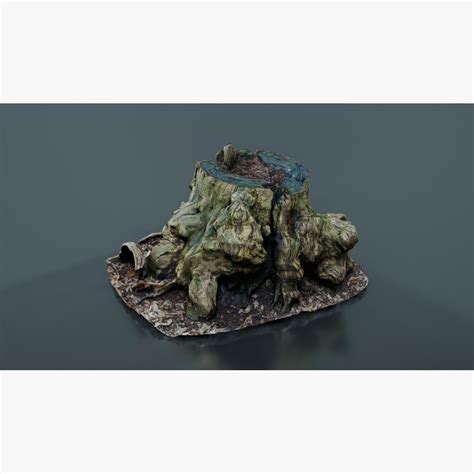 Wide Tree Root Stump 3d Model Download Landscapes On