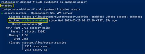如何设置 OpenConnect VPN 服务器 techsyncer