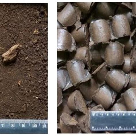General Appearance A Peat B Peat Briquettes Obtained On A Roller Download Scientific