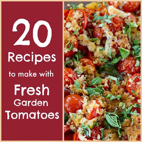 20 Recipes To Make With Fresh Tomatoes 365 Days Of Slow Cooking And