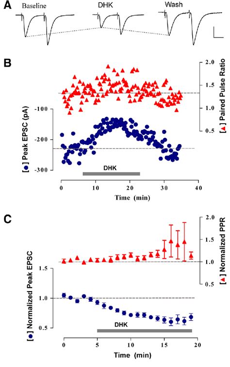 Astrocytic Modulation Of Glutamatergic Synaptic Transmission On Download Scientific Diagram
