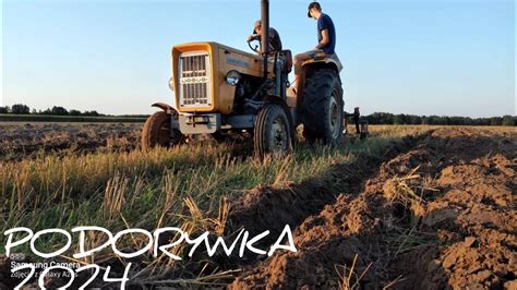 PODORYWKA 2024 ORKA ŚCIERNISKA URSUS C360 I 3 SKIBOWY PŁUG W