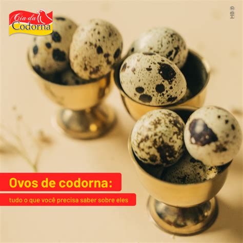 Ovos De Codorna Tudo O Que Você Precisa Saber Sobre Eles Cia Da Codorna