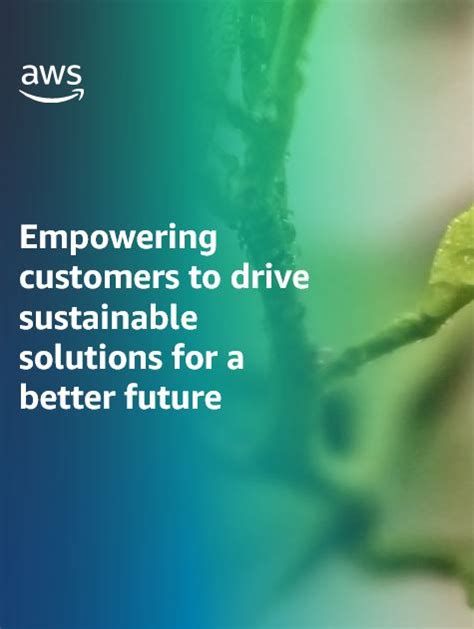 Sustainability Leadership Articles For Company Leaders Aws Executive Insights