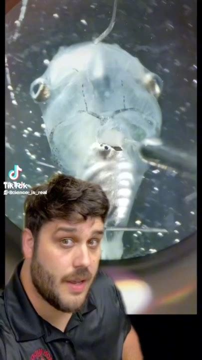 Biotech Network On Linkedin Geneticengineering Biotech Biotechnews