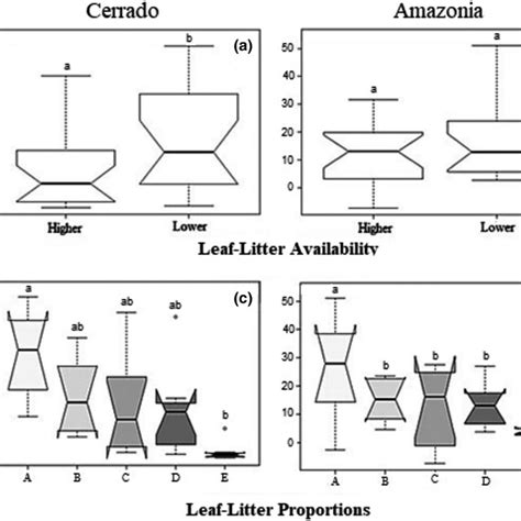 Picture Of Phylloicus Sp Trichoptera Calamoceratidae Observed