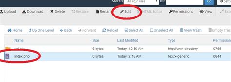 FTP Online CPanel S Web FTP Client Copahost