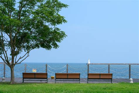 낮에는 갈색 나무 벤치 근처의 녹색 나무 사진 Unsplash의 무료 파랑 이미지