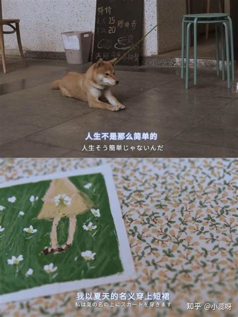 开心最重要 知乎