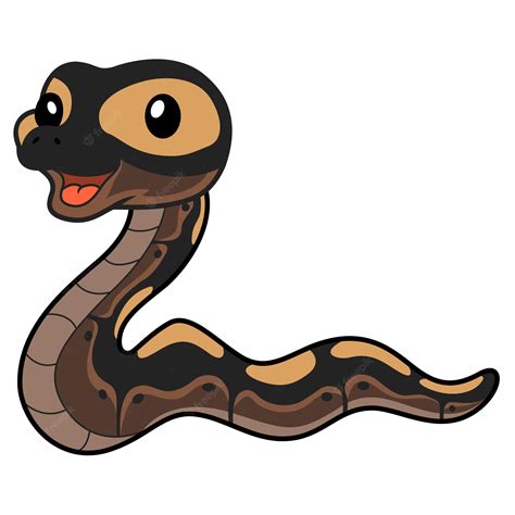 Premium Vector Cute Ghi Mojave Ball Python Cartoon