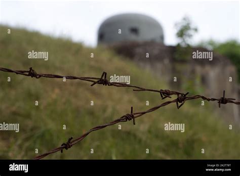 Detail Of Rusty Barbed Wire Stock Photo Alamy