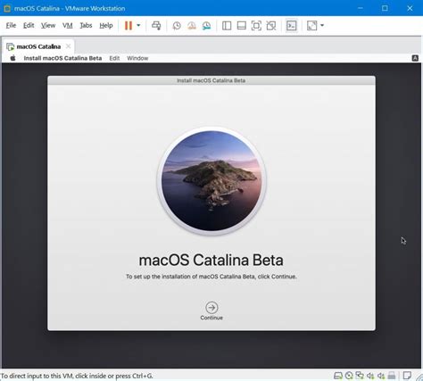Install Macos Catalina On Vmware On Windows Pc New Method For 2025