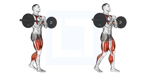 Cable Standing Leg Curl Guide Benefits And Form