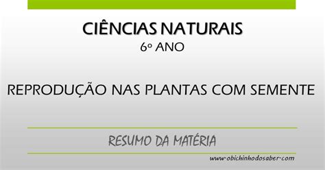 Ciências Naturais 6º Ano Reprodução Nas Plantas O Bichinho Do Saber
