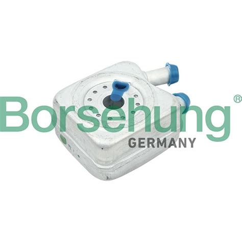 Borsehung ÖlkÜhler MotorÖl Passend Für Audi 100 80 90 A3 A4 A6