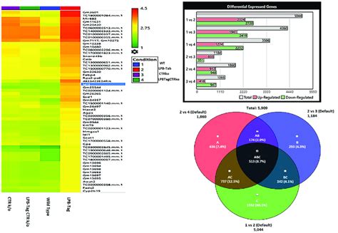 Microarray Analysis Figure Represents Hierarchical Clustering Of