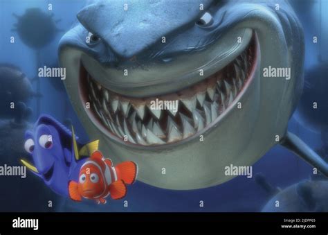Findet Nemo Bruce Png
