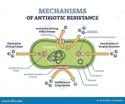 Antibiotic Resistance Icon On A White Background Vector Illustration