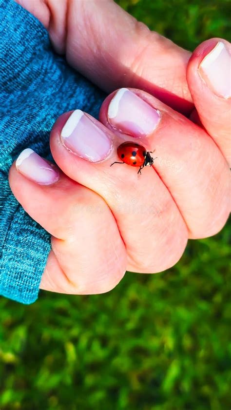 A Ladybug Is Standing On The Hand Of A Woman In Sportswear With A