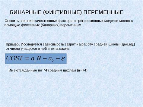 БИНАРНЫЕ ФИКТИВНЫЕ ПЕРЕМЕННЫЕ презентация доклад проект