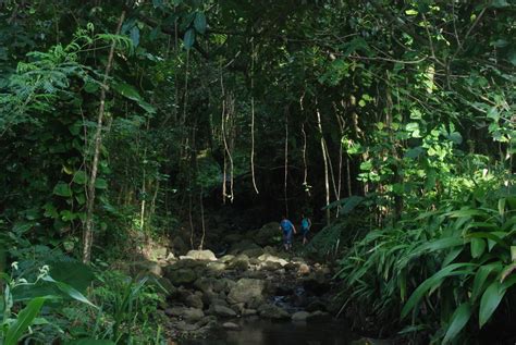 Borderless Culture Life Style How I Spent My Summer Kauai
