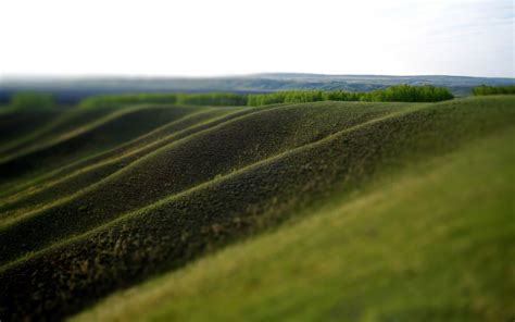 1920x1080 Resolution Green Grass Field Landscape Hd Wallpaper Wallpaper Flare