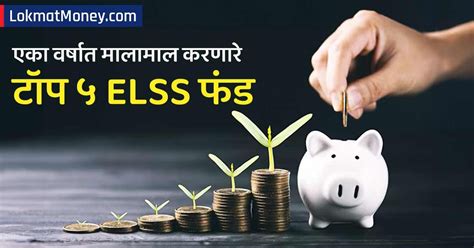 Top ELSS Fund पशच पऊस एक वरषत दल तबबल ८१ टकक रटरनस ह आहत टप ५ ELSS