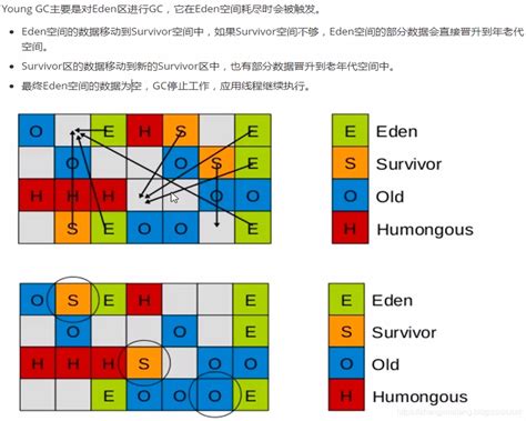 jvm 调优实战 垃圾收集器（串行、parnew并行、parallelnew并行、cms、g1） parallel new csdn博客