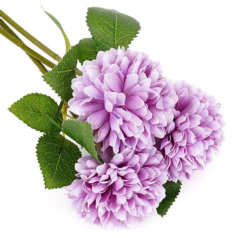 Flor De Crisantemo Morado