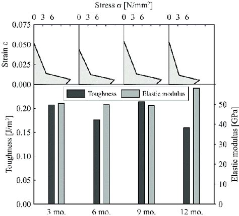Evolution Of The Constitutive Law Over Time For Specimens In A Download Scientific Diagram