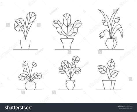 736 258 Imágenes De Outline Plants Imágenes Fotos Y Vectores De Stock Shutterstock