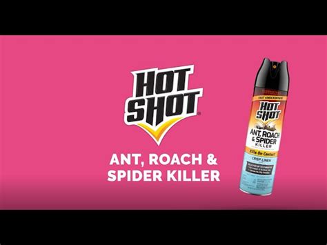 Hot Shot Ultra Ant Roach Spider Killer Unscented 52 Off