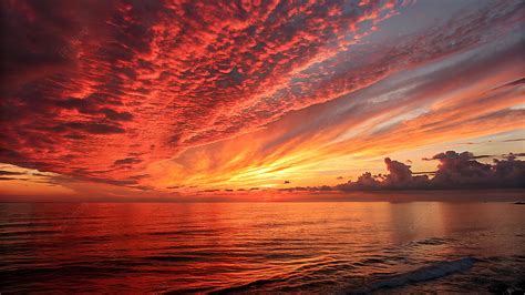 Peacock Elegance A Fusion Of Beauty And Geometry Background Peacock Geometry Elegance