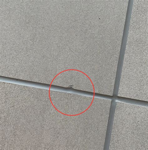 美缝完工后该如何验收