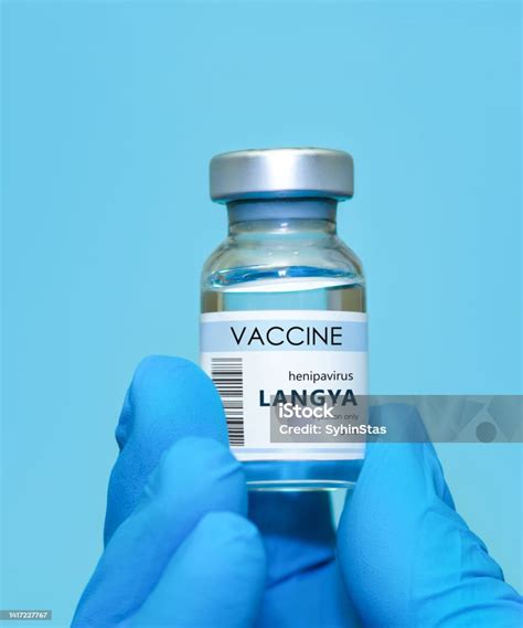 의료용 장갑을 끼고 있는 의사의 손에는 파란색 배경에 백신 랑야 헤니파바이러스가 든 병이 들어 있다 텍스트 공간을 복사합니다 2022년에 대한 스톡 사진 및 기타 이미지