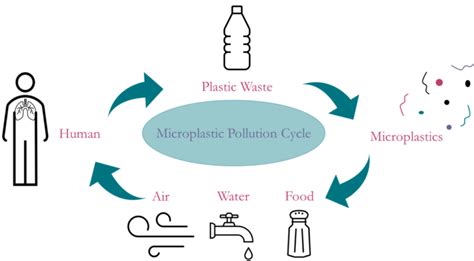 Using Raman Analysis To Identify Microplastics In Environmental Samples
