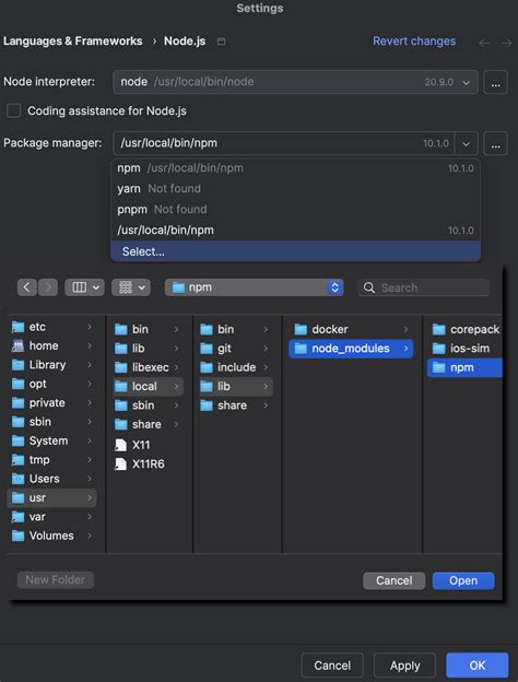 Npm、pnpm 和 Yarn Webstorm 文档