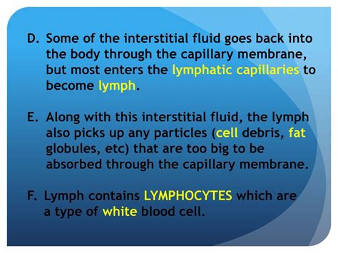 The Circulatory System Ppt Download