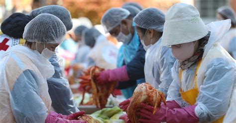 김장 김치 담그는 자원봉사자들