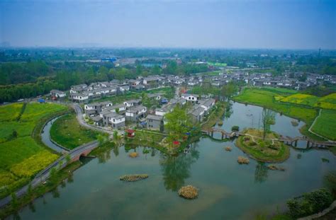 青杠树村图片 青杠树图片 大青杠树图片 第5页 大山谷图库