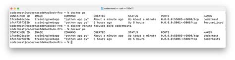 docker 容器互联 csdn博客