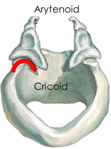 Spaud 210 Terms 2 2 Flashcards Quizlet