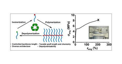 Breaking The Paradox Between Grafting Through And Depolymerization To Access Recyclable Graft