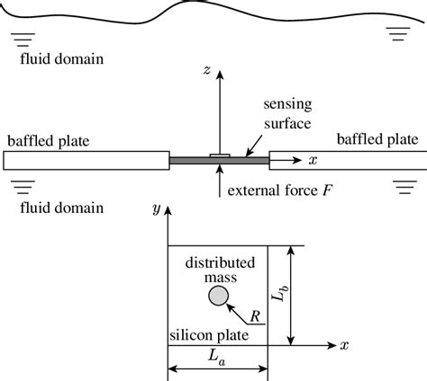 Schematic Of The Microplate Model Download Scientific Diagram
