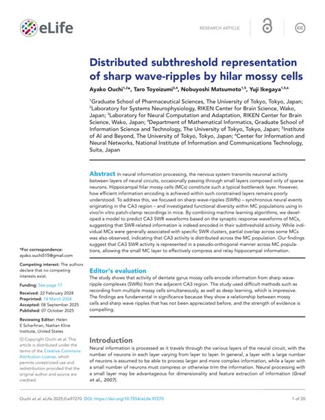 Pdf Distributed Subthreshold Representation Of Sharp Wave Ripples By